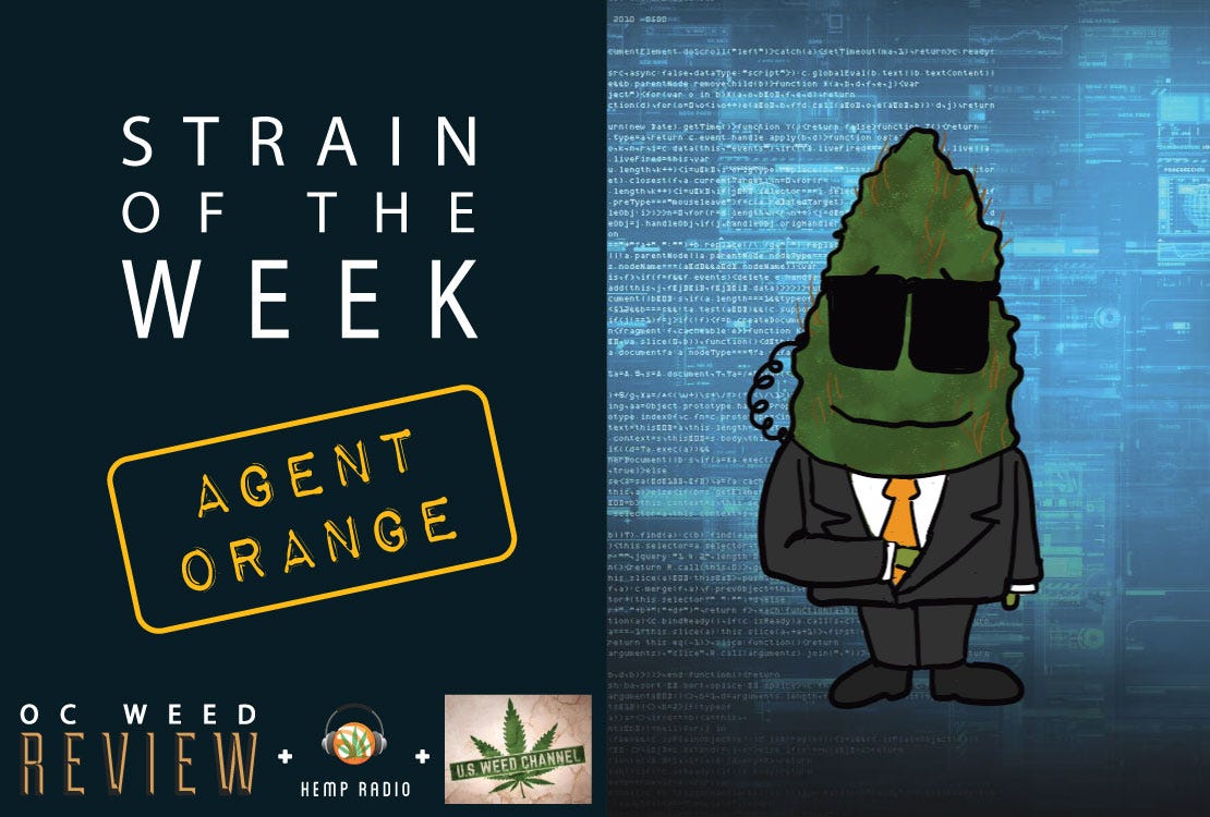 Indica -vs- Sativa. Choosing the strain that is best for… | by OC Weed ...
