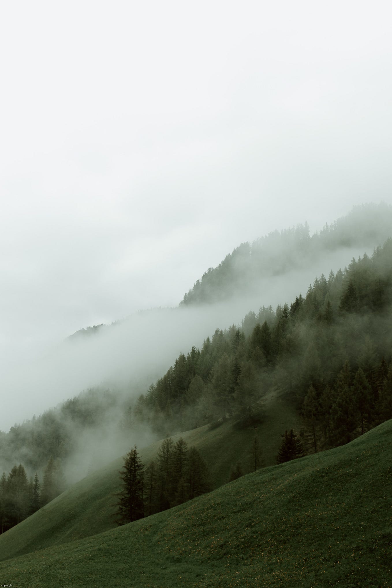 Why girls become tomboys. When I was growing up, between ages… | by ...