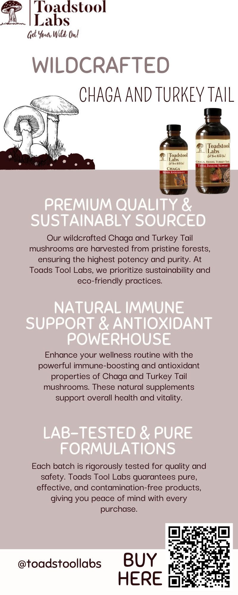 Explore Turkey Tail and Chaga for Immune Support - Toadstoollabs - Medium