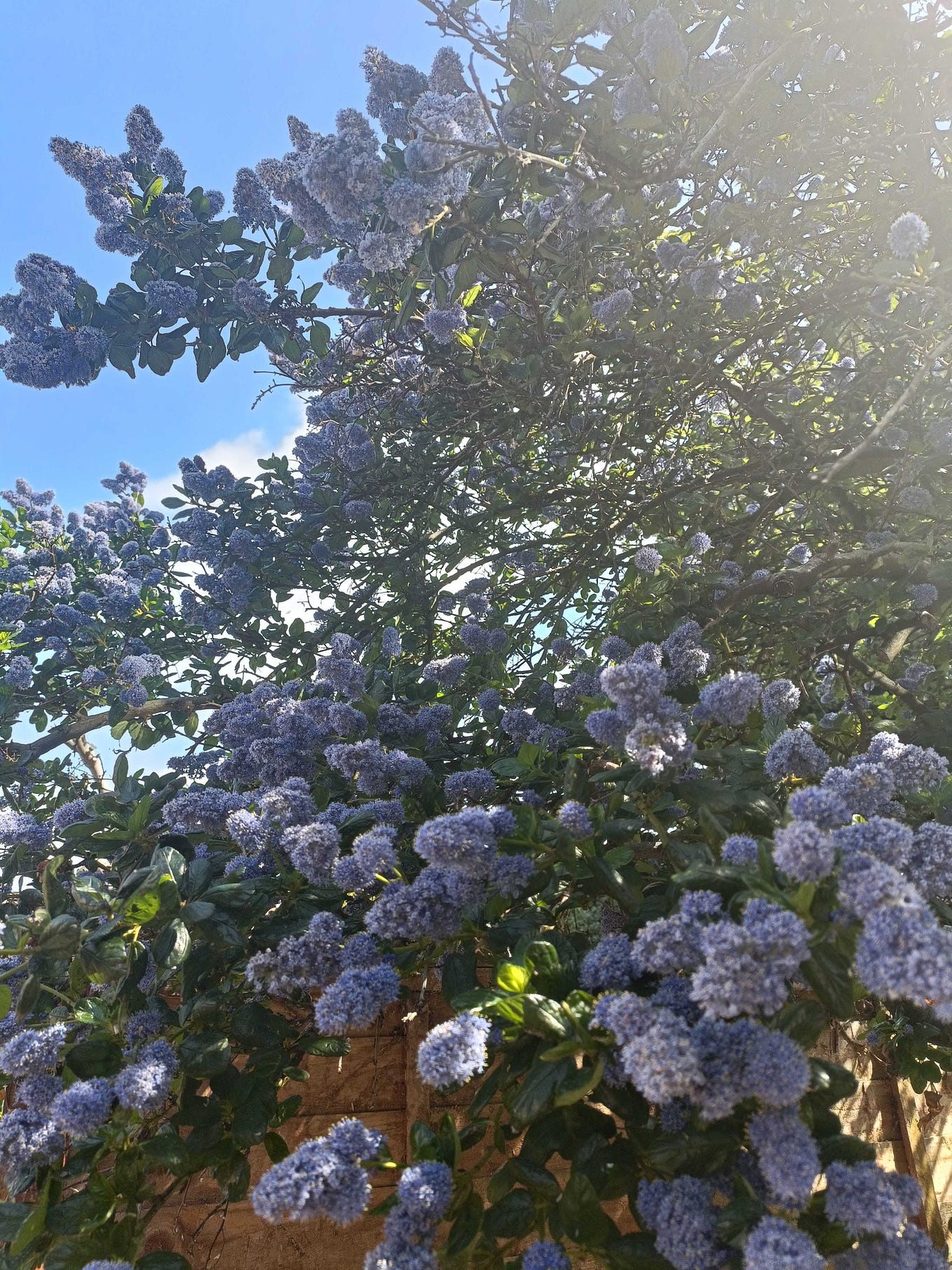 Weeknotes — S3 E2. I ran a research questions kick off… | by Ellie ...