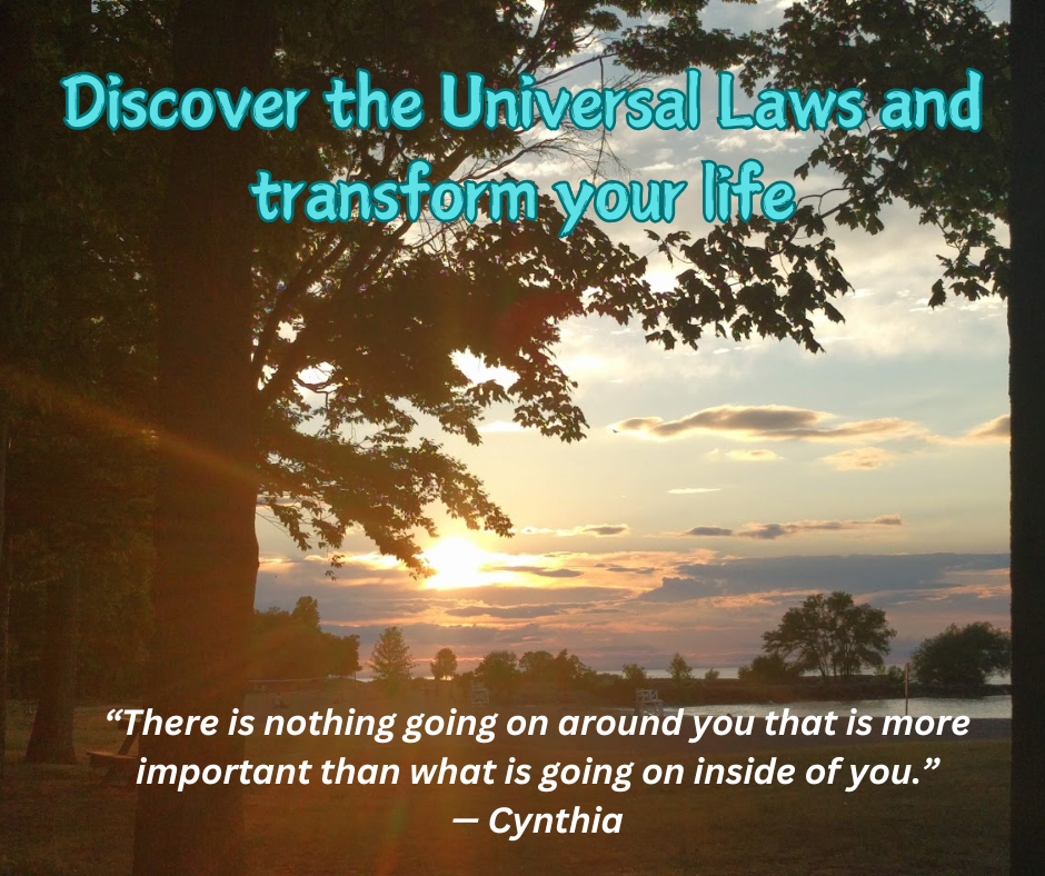 Stepping Into This New Chapter: A Journey of Alignment & Reflection ...
