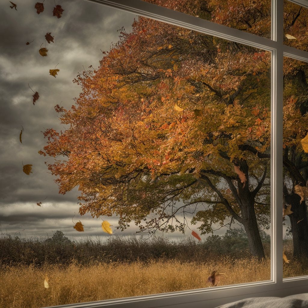 Seasons. The women of weather. Spring, Summer… | by Adeline Zielke | Aug, 2024 | Medium