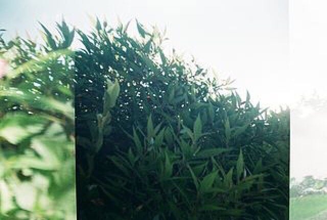 Rangkaian Doa Untuk Sekar Kinanti (#7) | by Wira Bhuwana | Medium