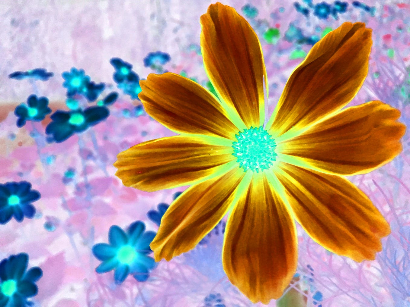 All the Colors We Cannot See. Tetrachromacy in Humans | by Carl ...
