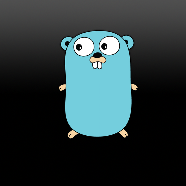 About Go Language — An Overview. Learn about the Go ecosystem and the… | by Inanc Gumus | Learn ...