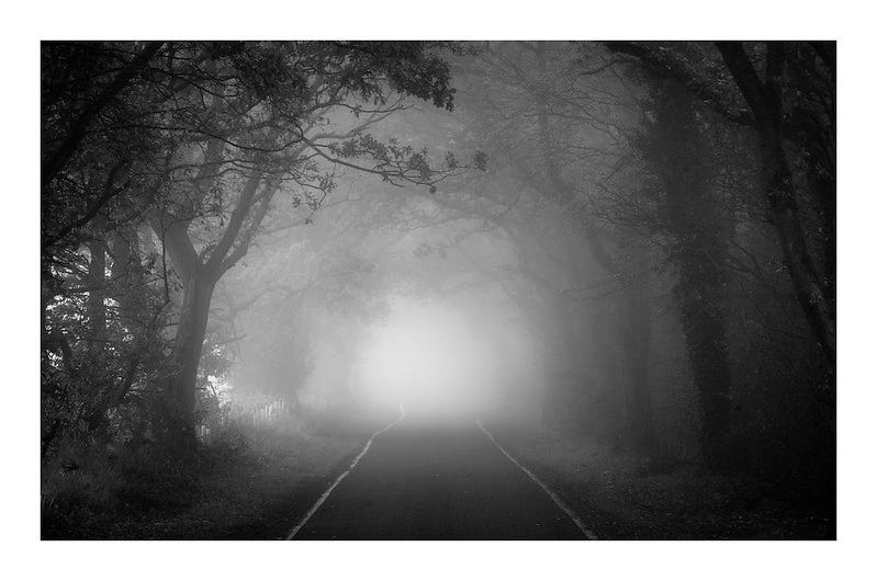 Avoiding Cross-Site Scripting (XSS) in a C# .NET Project | by Can Sener | Stackademic