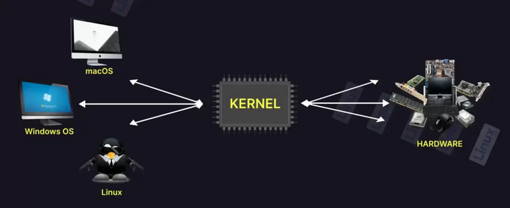 Understanding the Life Cycle of a Process | by Jaswanth Bammidi | Medium