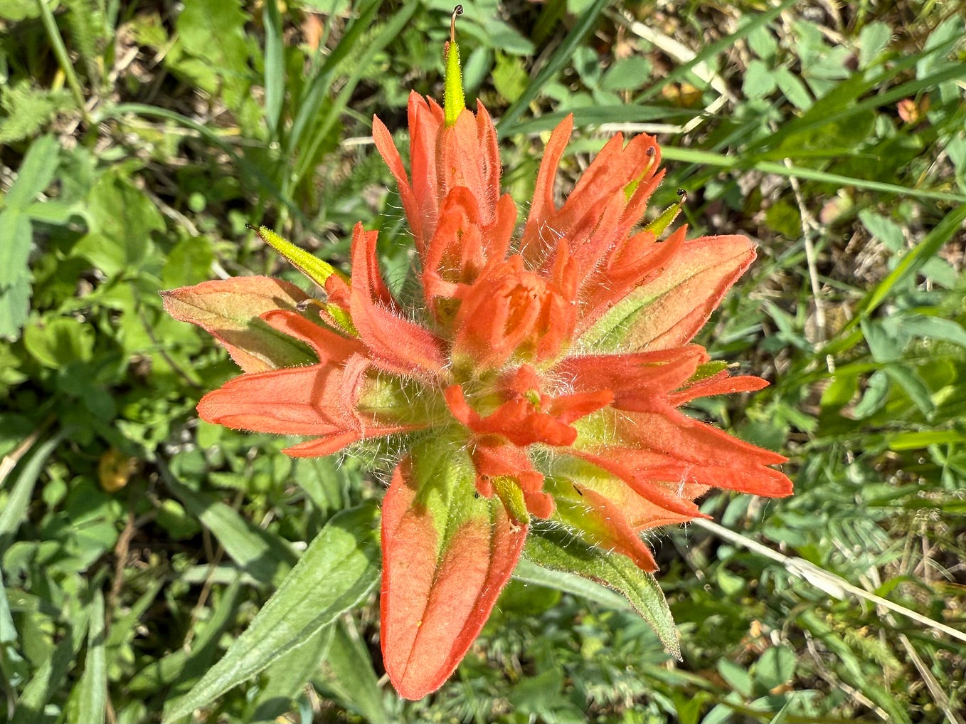 Deploying a Dash App on Render: Fixing 502 Bad Gateway and Port Binding Issues | by MZ | Medium