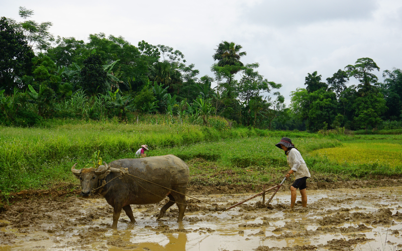 Cultivating Sustainability: The Future of Agriculture and Farming in India | by agroniv | Medium