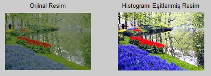 Grayscale, Binary, and Histogram. Introduction | by Technology Robotix Society | COMPUTER VISION ...