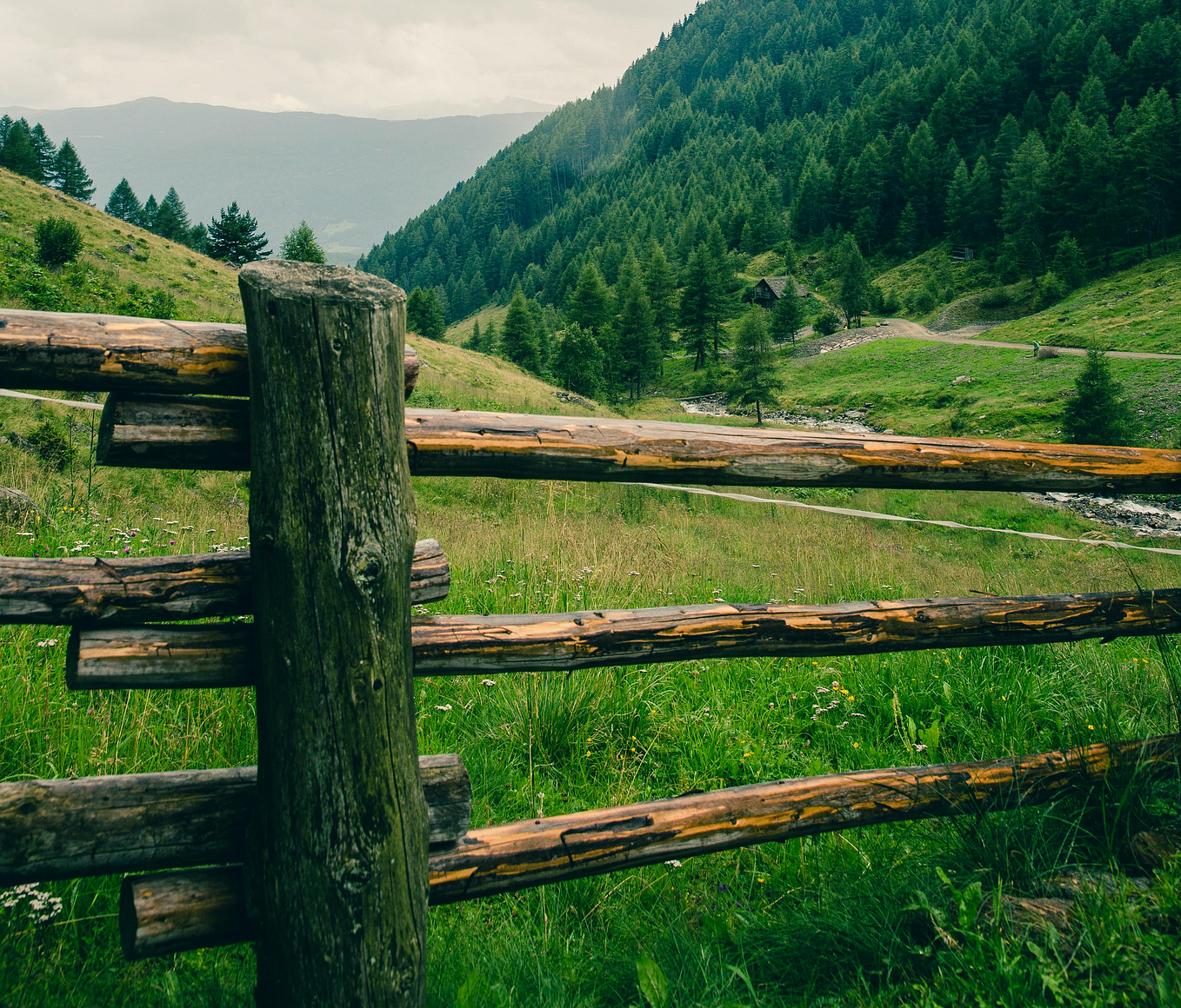 “Free” is expensive. It’s tempting to take things that are… | by David ...