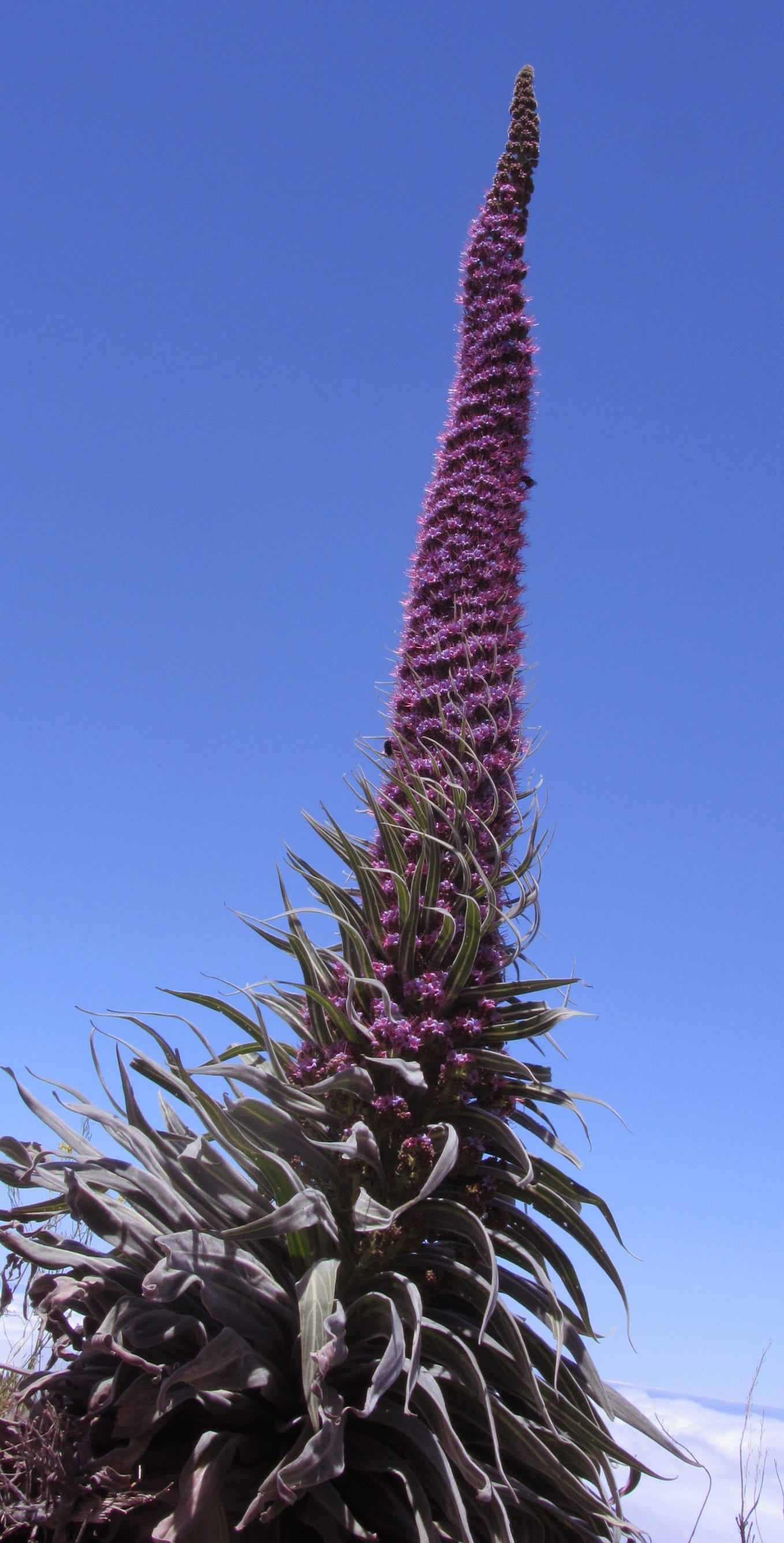 I haven't read "Bird by Bird" although it's on my wish list. I like On ...