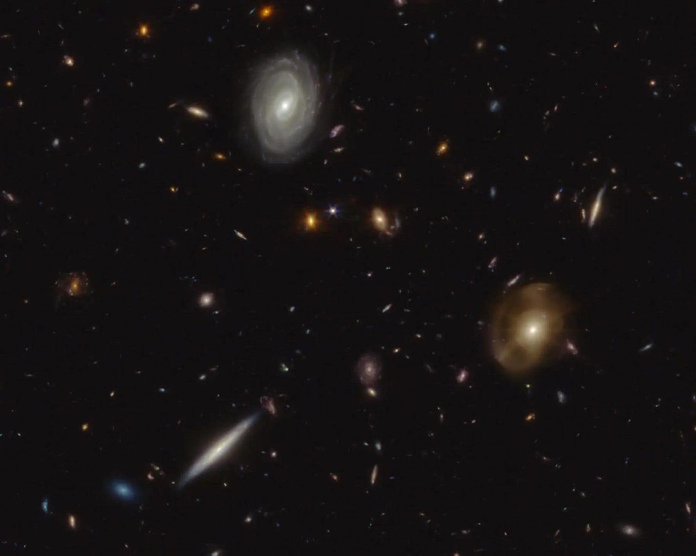 Document Scanner in SwiftUI. Extracting Text From Documents Using… | by Tobias Wissmueller | ITNEXT