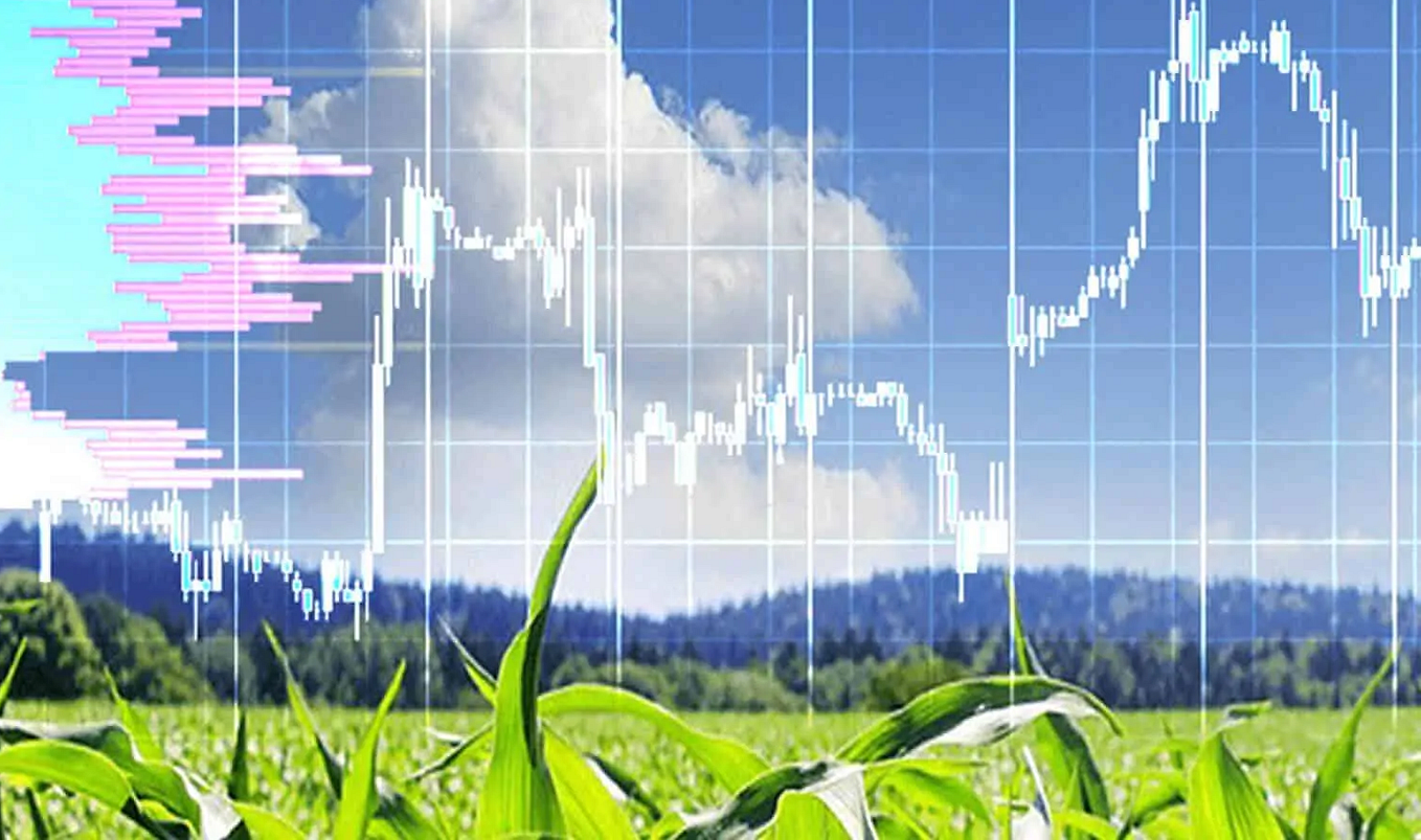 Building an Effective Trading Screener with Python and Tradingview | by ...