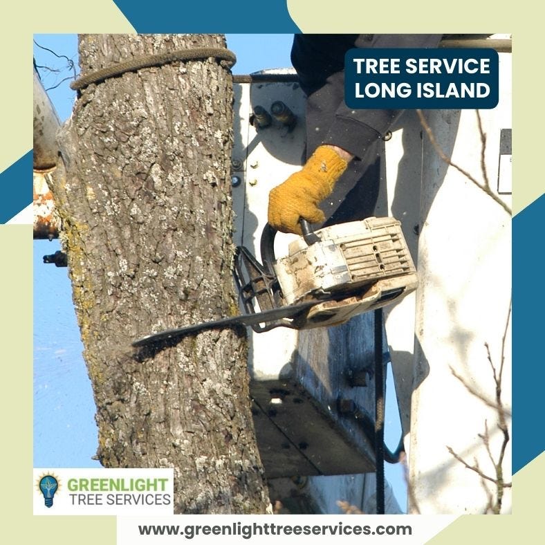 Stump Grinding — Huntington Station, New York | by Green Light Tree ...