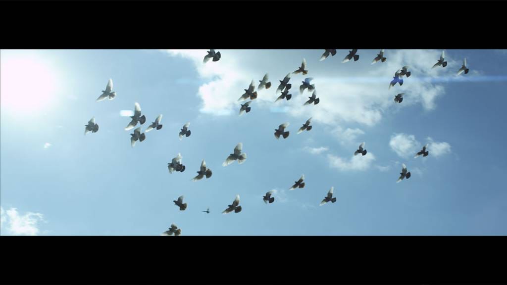 Laravel Elixir and using it with Laravel 4 | by Boyan Yordanov | Medium