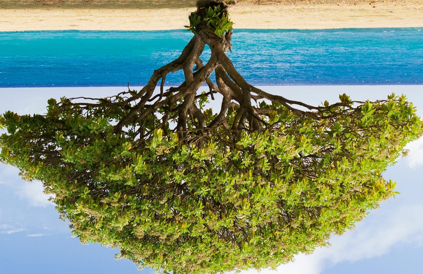 Advanced Angular Structural Directive to Render Long Lists | by Sanjay Bhavnani | JavaScript in ...