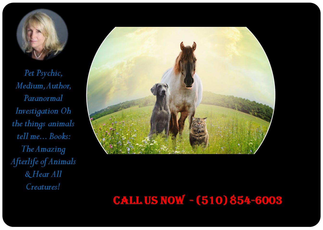 Learn Animal Communication Classes Tips & Secrets : Karen Anderson | by Animal Communication ...
