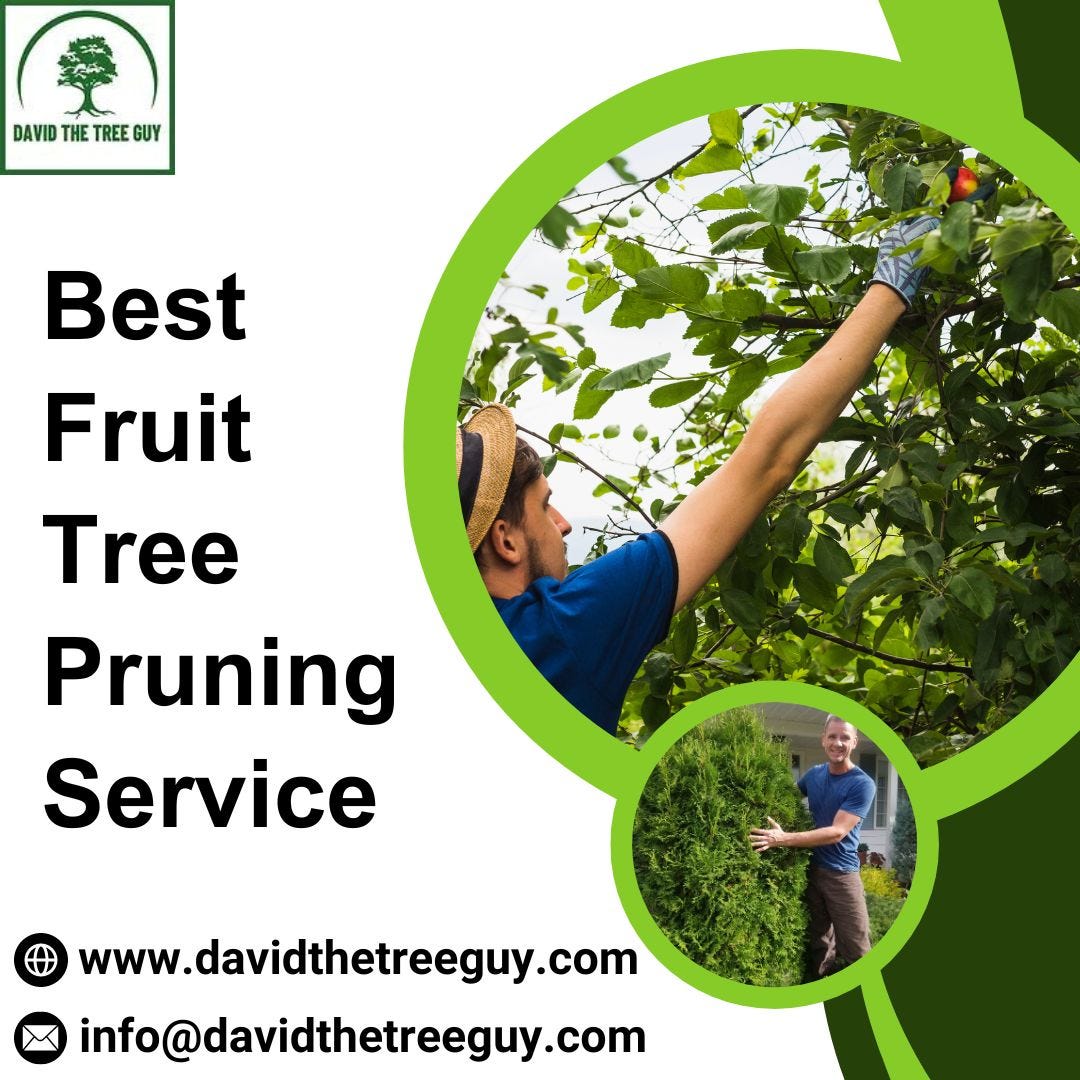 Best Fruit Tree Pruning service - David The Tree Guy - Medium