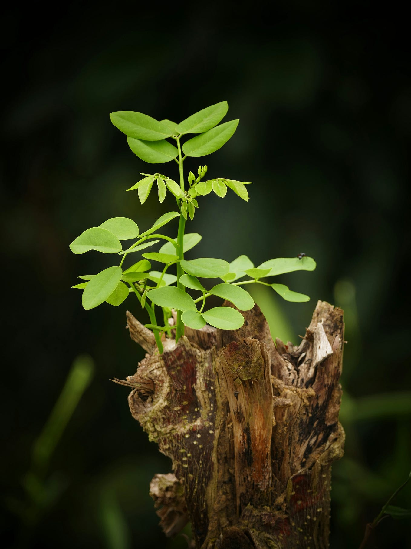 10 คำถามที่ Software Tester ควรเตรียมตัวไว้ ก่อนไปสัมภาษณ์งาน | by ...