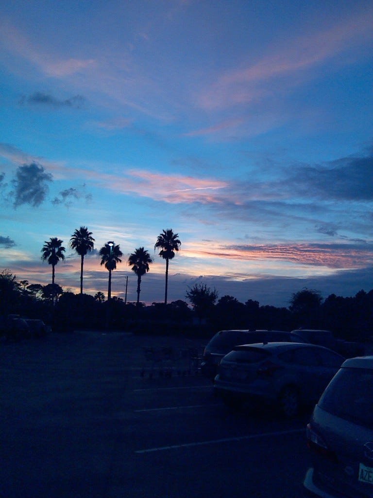 Joshua Tree. A Blackout Poem | by Marilyn Wolf | The Howling Owl | Medium