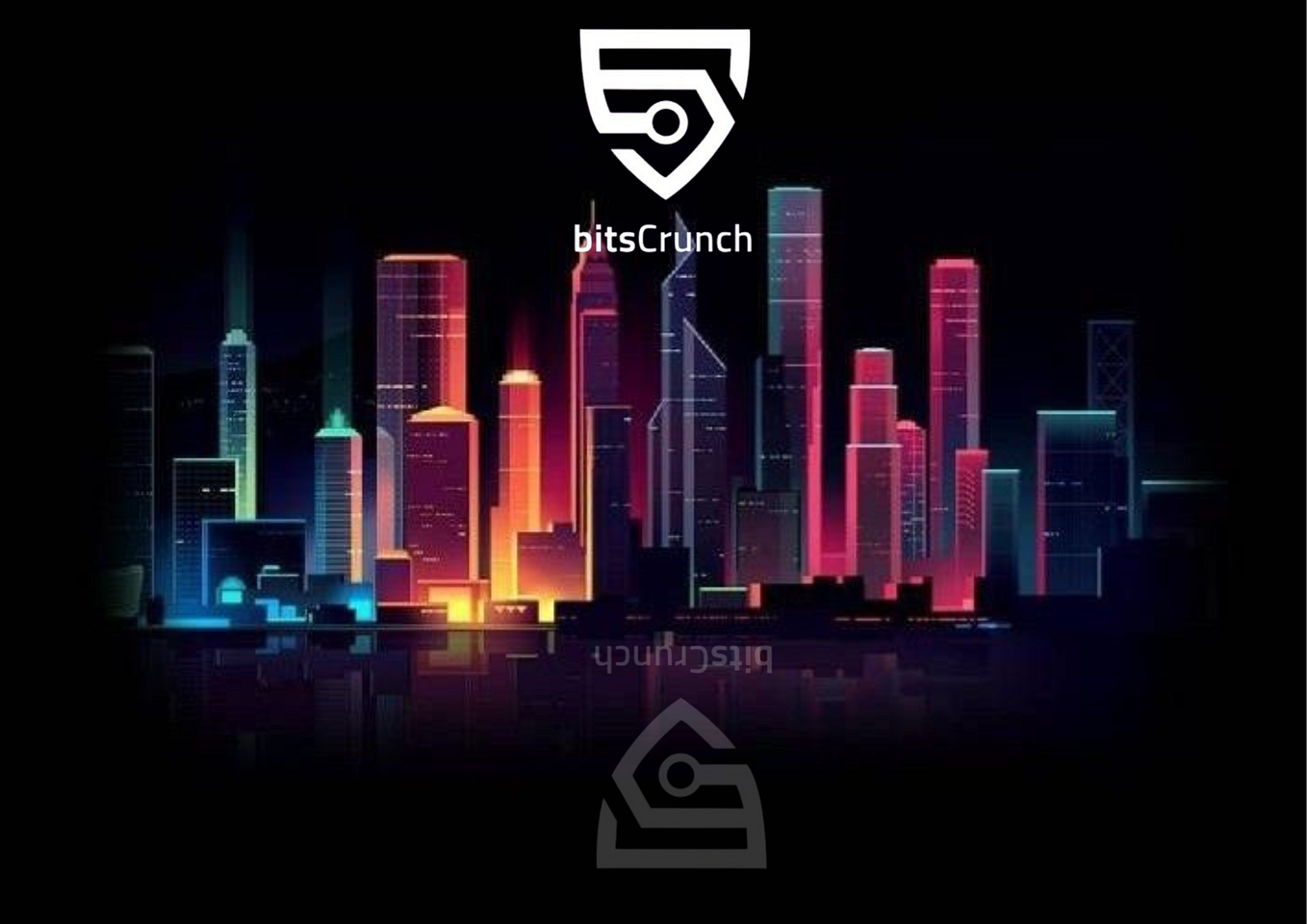 BITSCRUNCH….$BCUT..smart contract, vesting and Technical considerations ...