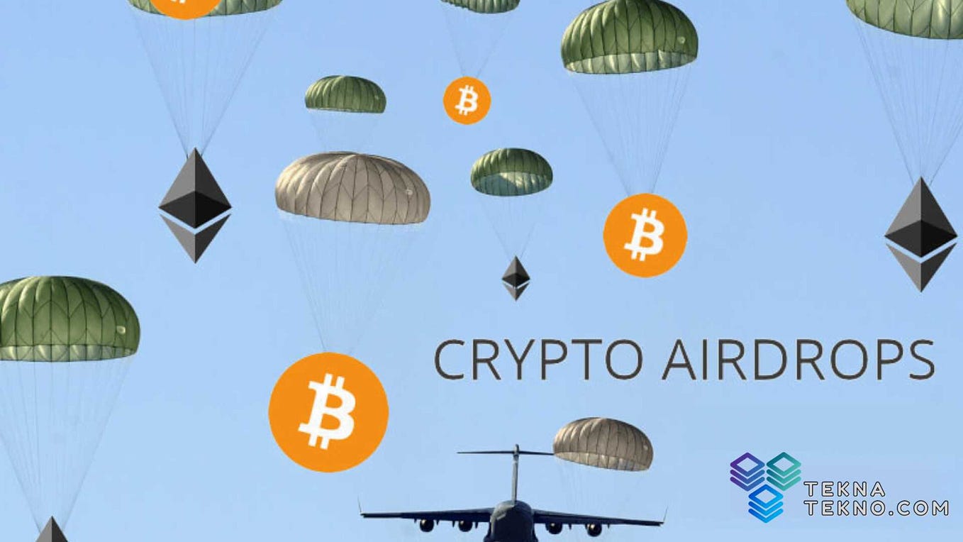 Get Your Share of Tortuga Finance Airdrop Now! Exclusive Opportunity ...