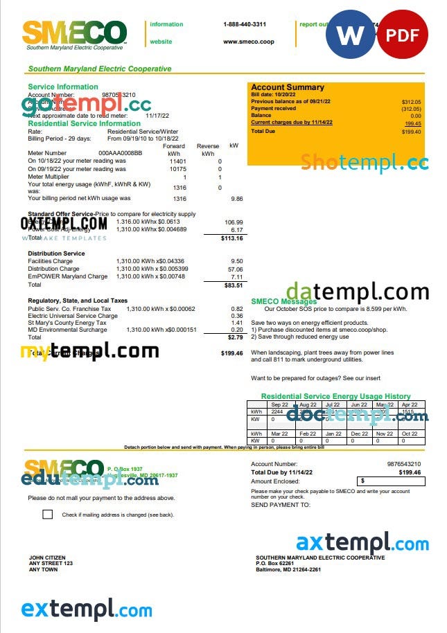 USA LG&E utility bill, PDF and Word download template | by Intemplstore ...
