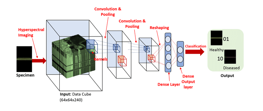 Simplifying Large Language Models: How Relaxed Recursive Transformers Make AI More Efficient ...