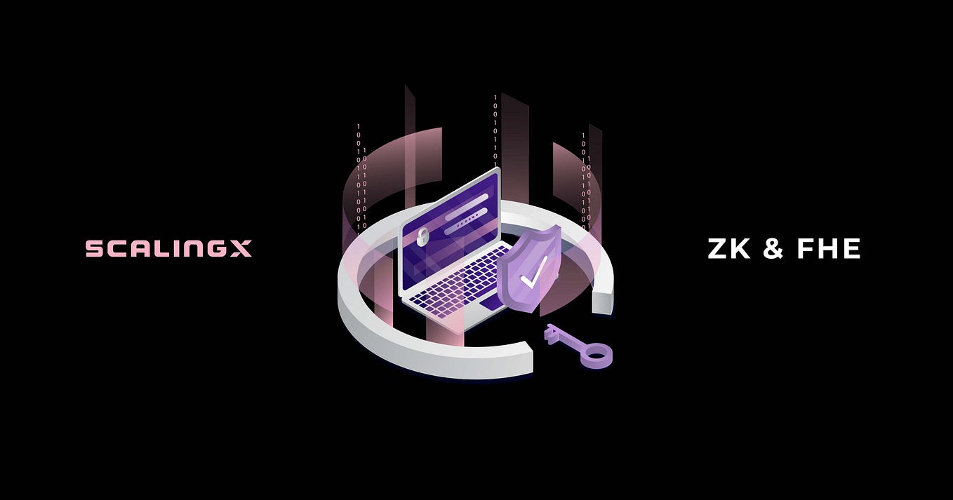 Zk Programming Languages A Comprehensive Overview By Scalingx Medium