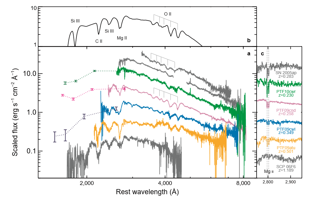 N6946-BH1: The disappearing star. Throughout history, supernovae have ...