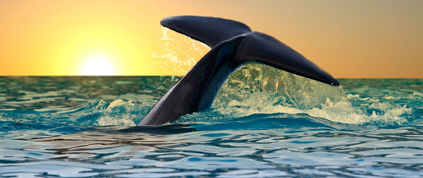 I love hearing about meanings and significances as seen by other ...