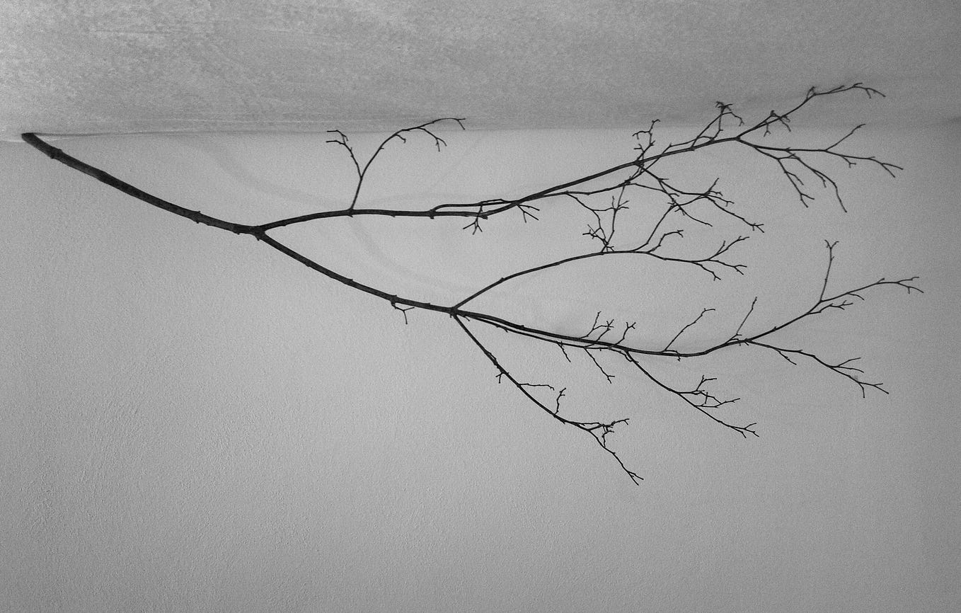 Non capisco niente di arte contemporanea | by Martino Pietropoli | L ...