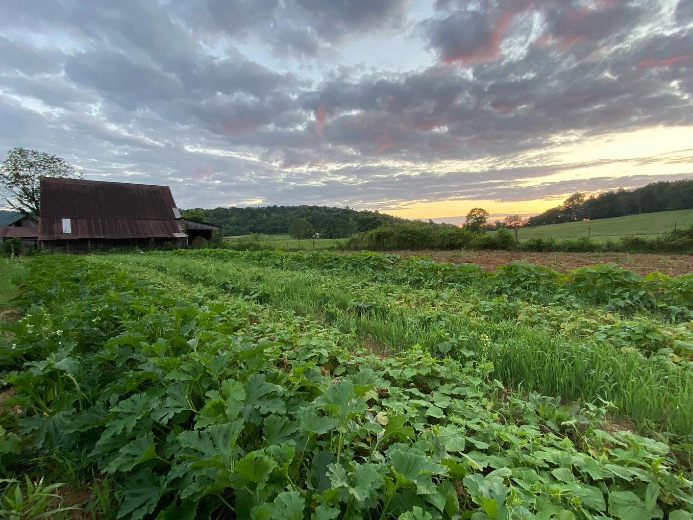 Credit facility accelerates growth of regenerative farming | Reimagine ...
