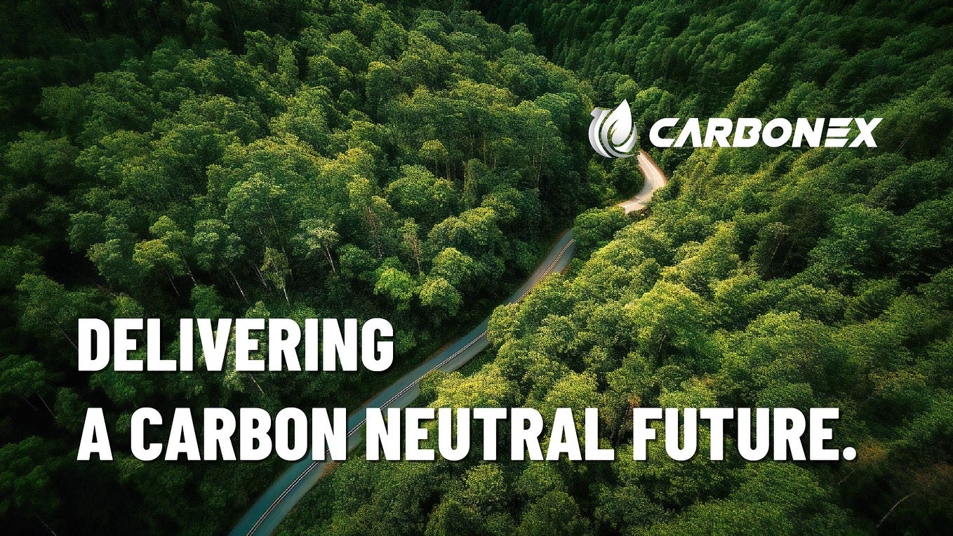 Addressing the Carbon Cycle Challenge: Strategies for a Sustainable ...