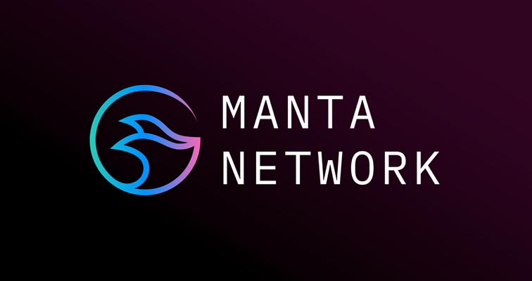 MANTA Airdrop: 3 Ways To Get Involved In The $MANTA Network Goldrush ...