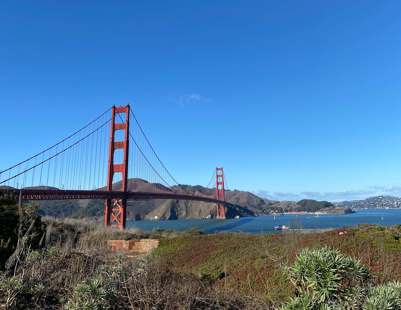Study in the USA as a Freemover | Part 1 | by dayofdavid | Medium