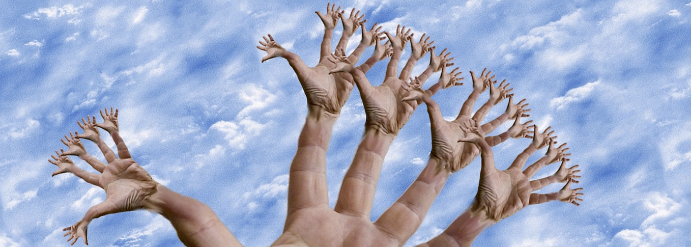 15. The Stunning Potency Of Visual Classification Hierarchies | by ...