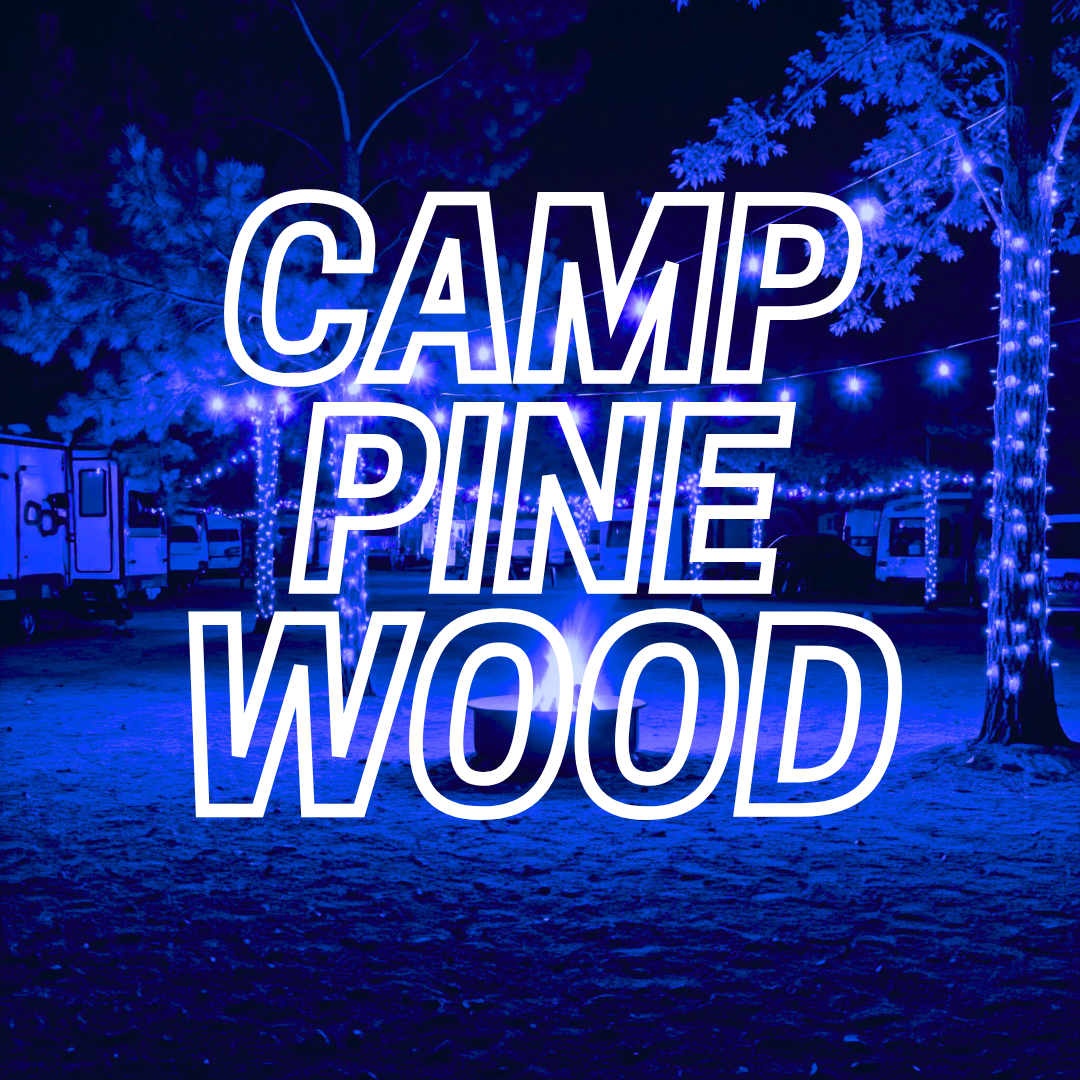 Camp Pinewood — Part 2. A case study in storytelling and… | by neon druid | Oct, 2024 | Medium