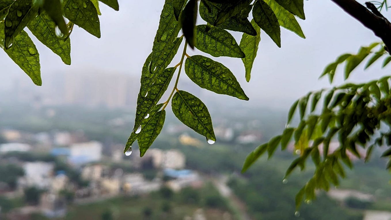 The Sun leaves its embers behind… - Rupa Abdi - Medium