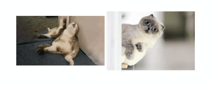Using FormData to Upload Multiple Images | by Andy Kelso | Medium Using FormData to Upload Multiple Images | by Andy Kelso | Medium
