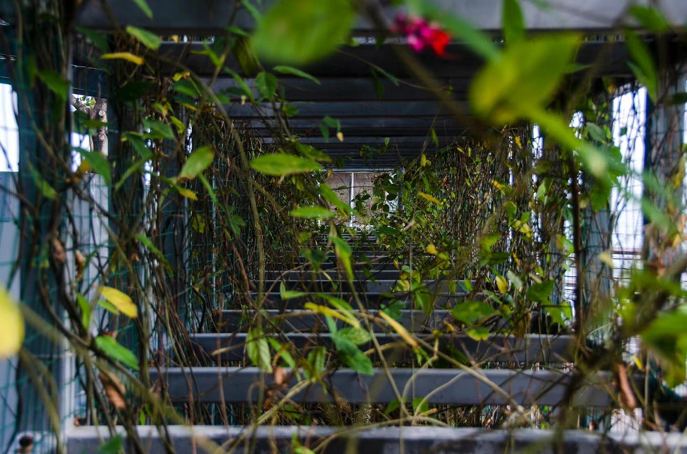 Fine tune your own GPT-2 model with PyTorch for generate text | by Steinway | Medium