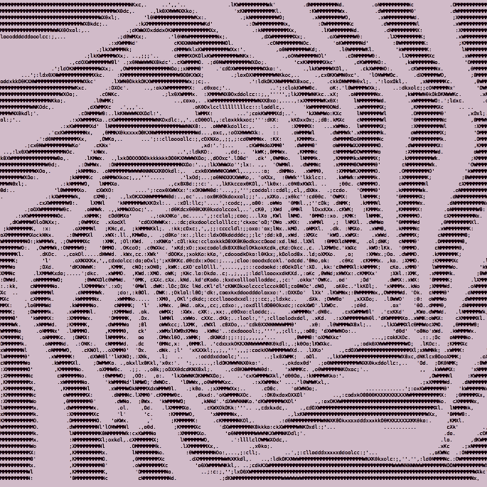 the fina | by Adam Shappy | Medium