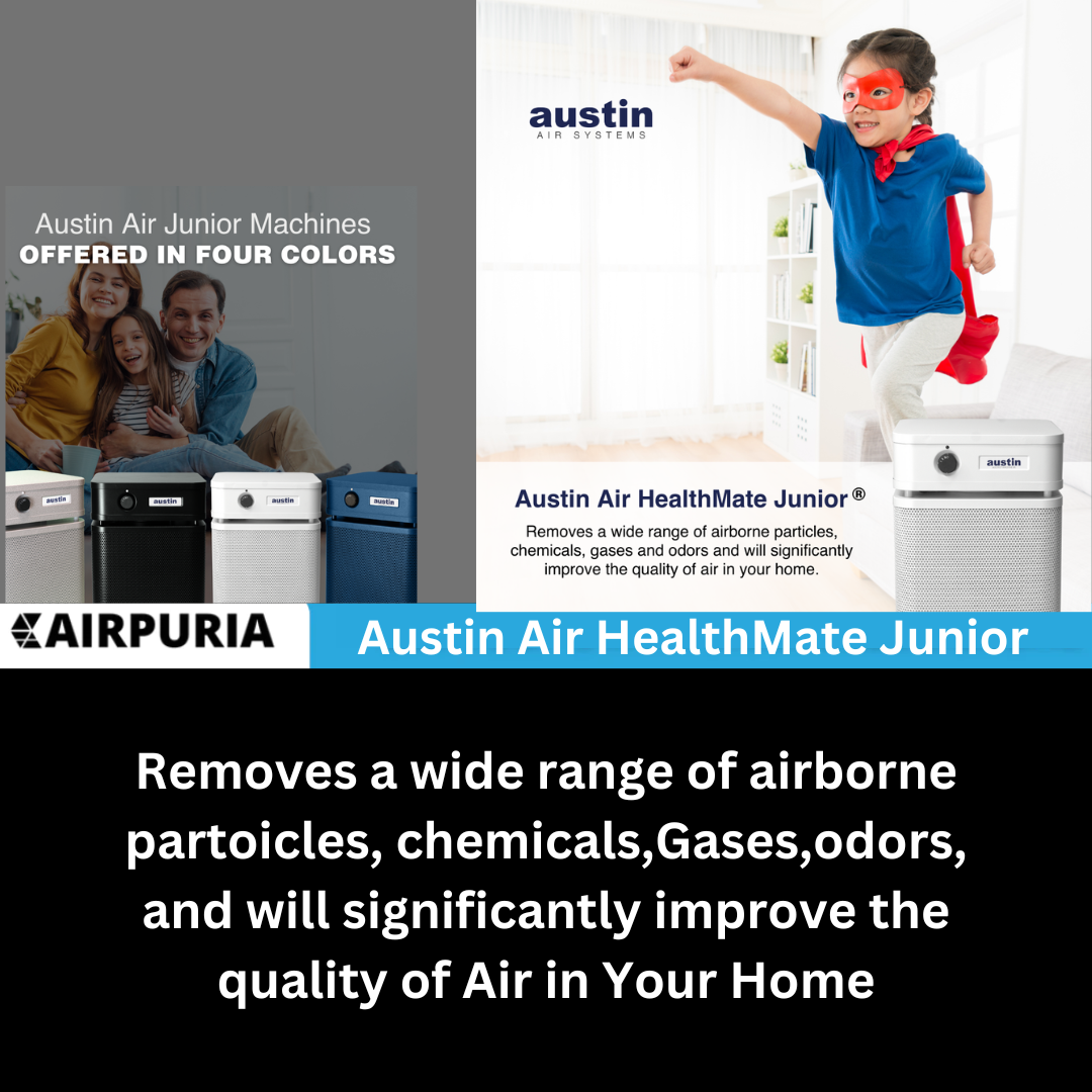 Decoding Clean Air: The Technology Inside the Austin Air HealthMate ...