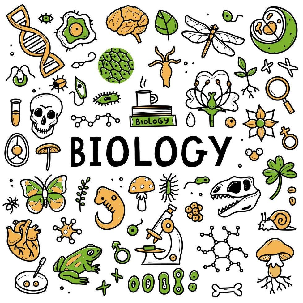 Part 2 : Boost your biology — Essentials Supplements / Tips. | by Naman ...