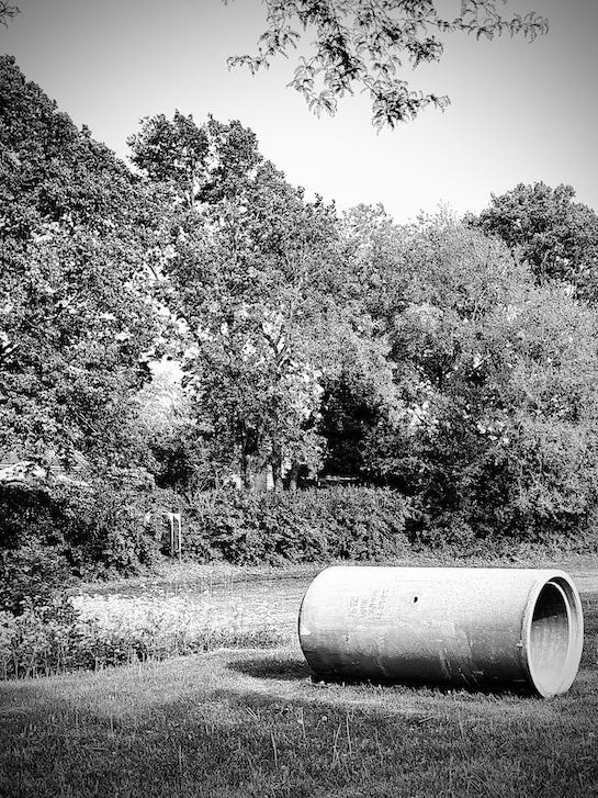 Quoof: A Poem by Paul Muldoon. Strong sexual overtones are expressed ...