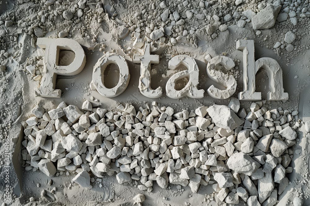 How Washing, Parboiling, Cooking, and Sieving Affect the Starch Content ...