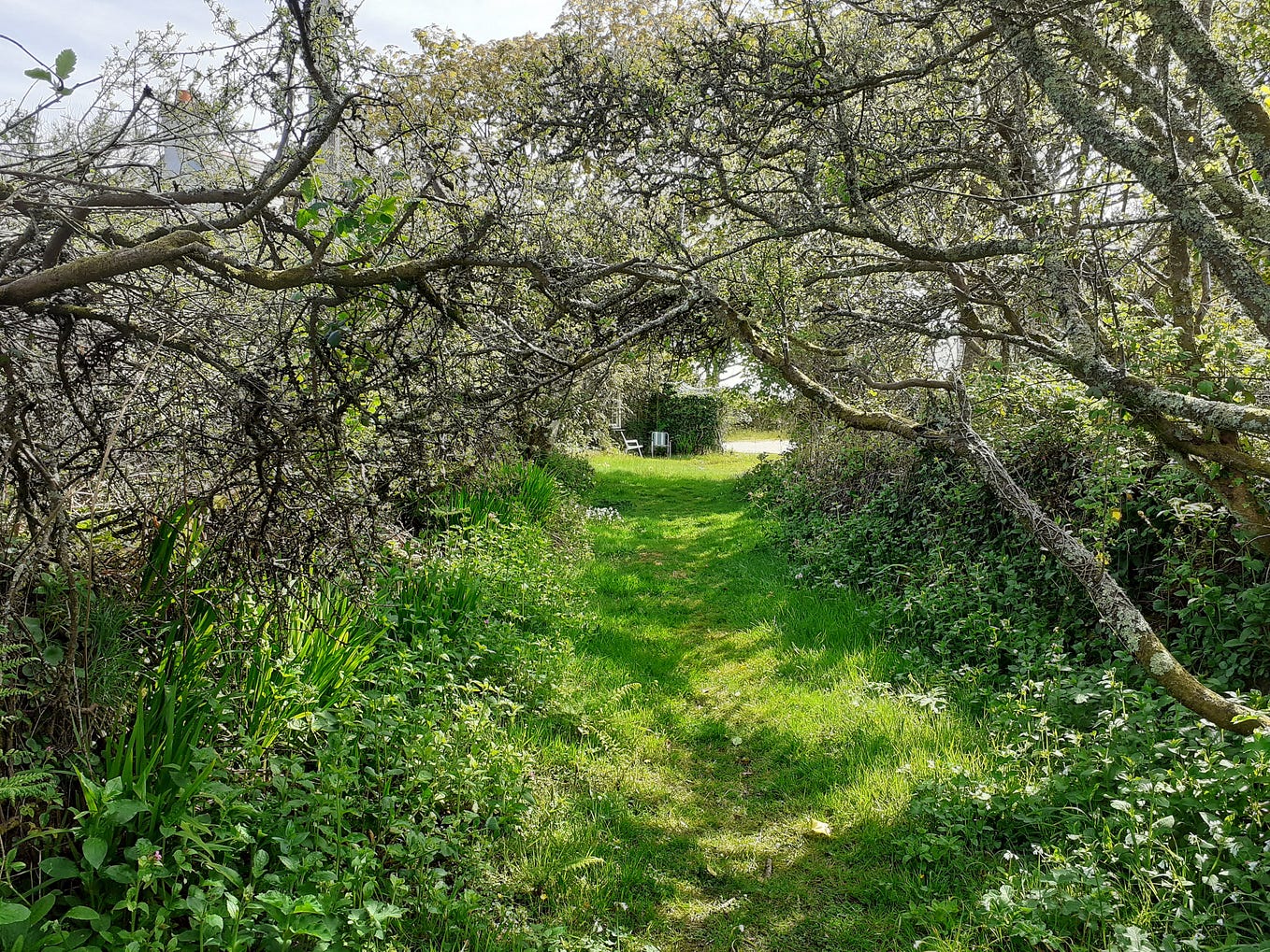 Redruth to Gwennap Pit Circular. Short circular, covering Victoria Park ...