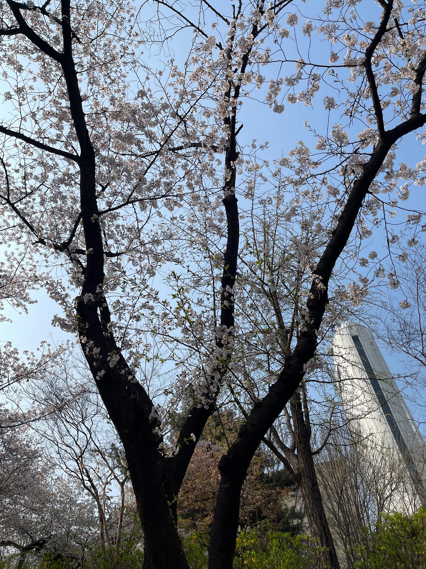 The Whores of Hongdae Seoul. The Truth of Seoul’s Most Popular Party… | by sir.sk | Medium