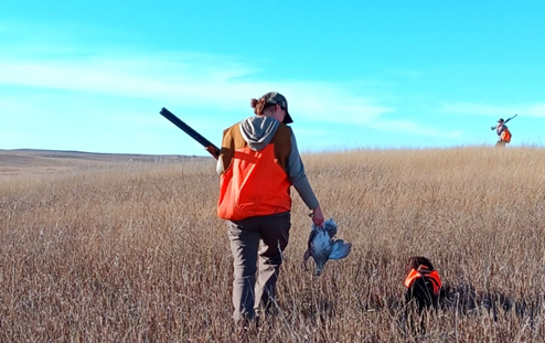 Pick the Right Bird Dog for You — Meet the Gun Dog Breeds ...